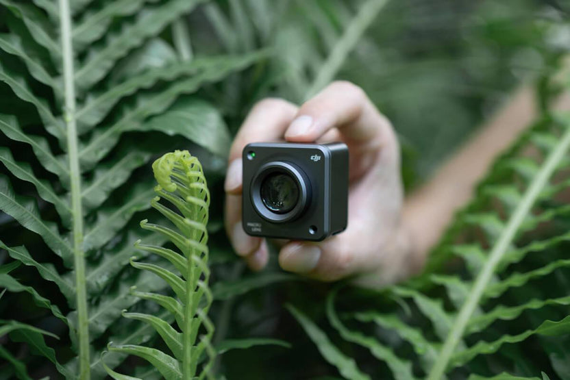 DJI Action 2 – DJI Hasselblad